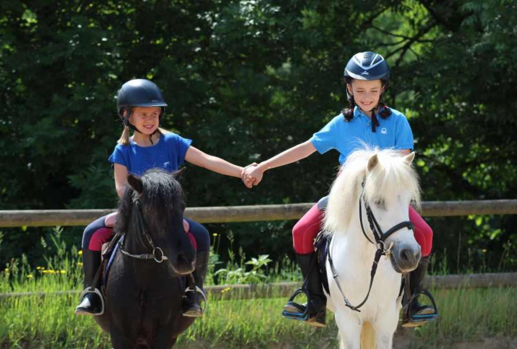 Equitation/ Sport et Créa et Sport Nature - Stages enfants Houffalize ...